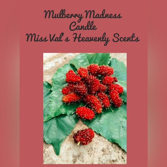 Hand Crafted | Accents | Mulberry Madness 8oz Candle Miss Vals Heavenly ...